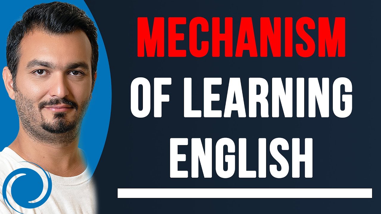 Discover the Mechanism of Learning English: A Beginner’s Perspective ...