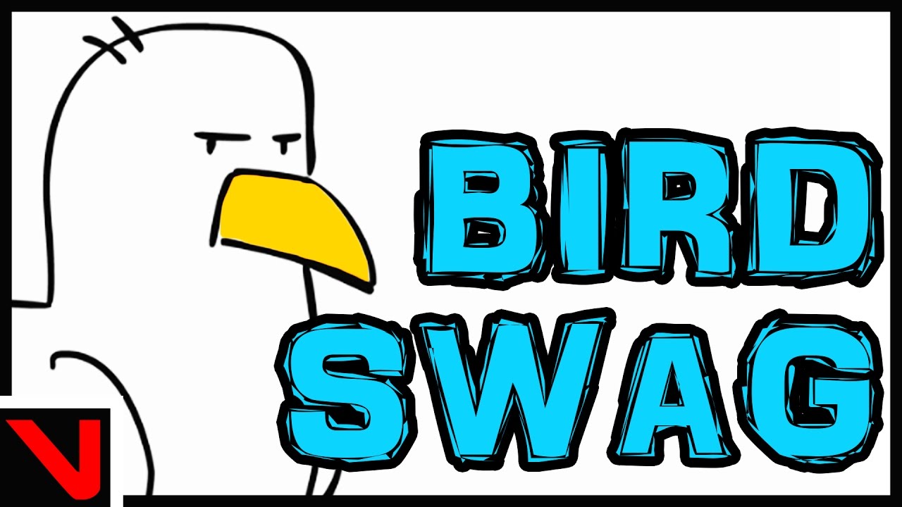 Bird SWAG ! - YouTube