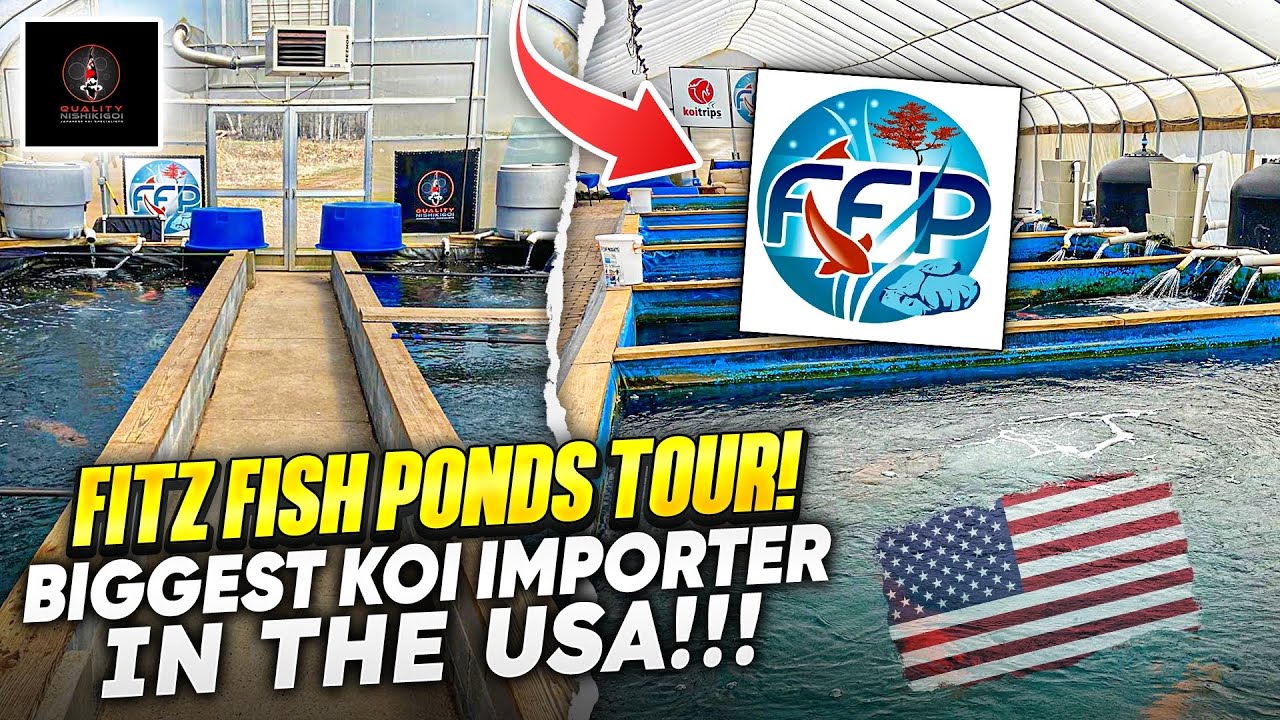 FITZ FISH PONDS TOUR - THE CHAMP IS BACK!! - YouTube