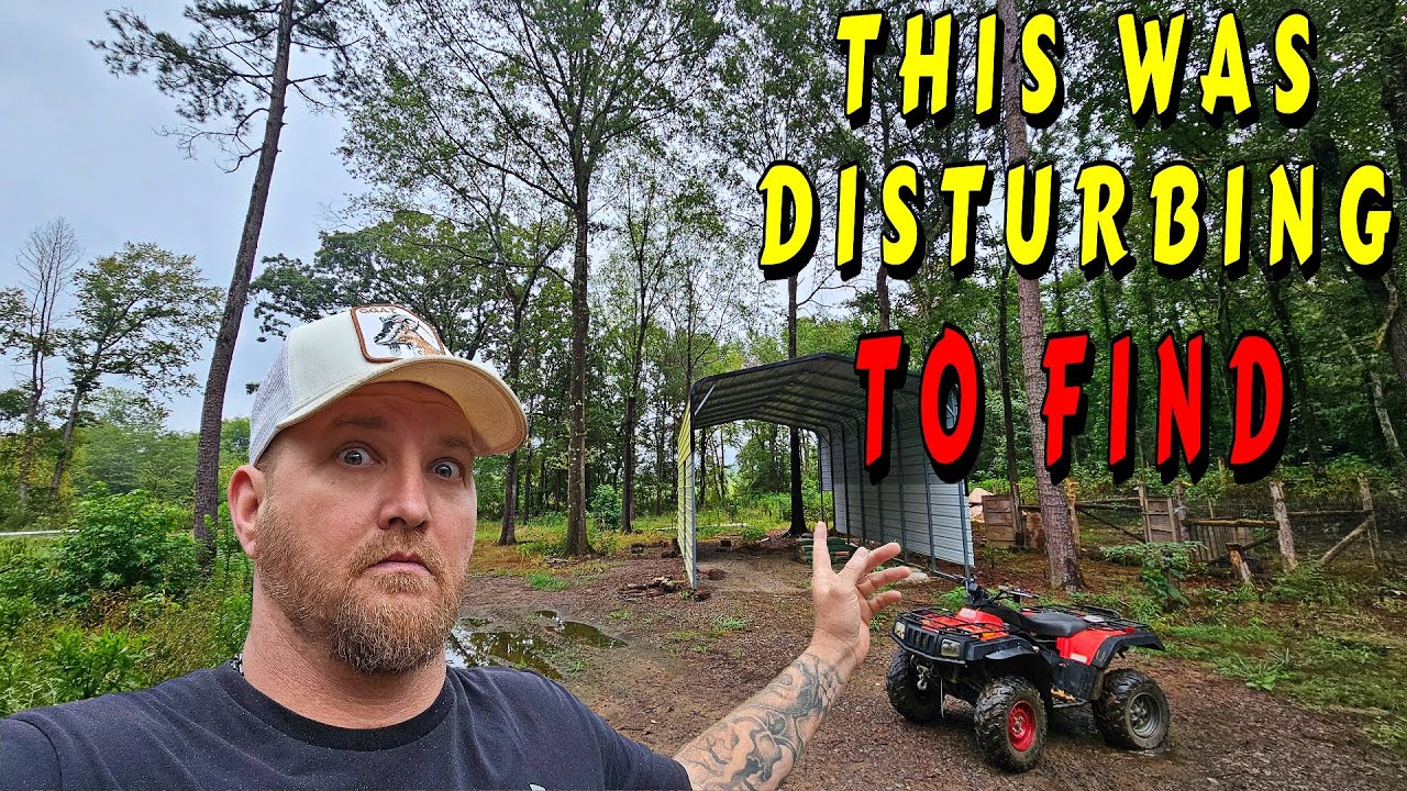 I DIDN'T EXPECT THIS |tiny house, homesteading, off-grid, cabin build ...