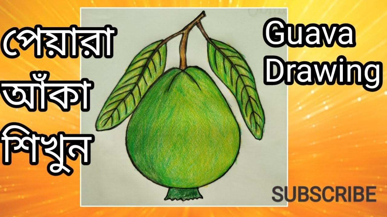 পেয়ারা আকার সহজ উপায় ।। how to draw guava easy।। guava drawing for ...