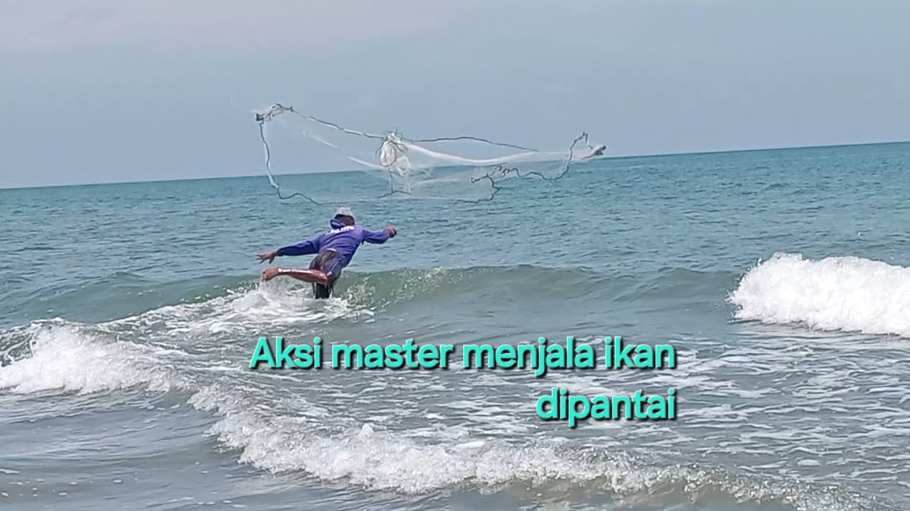 Menjala ikan,hasilnya sungguh mengagumkan,terjaring ratusan ikan blanak ...