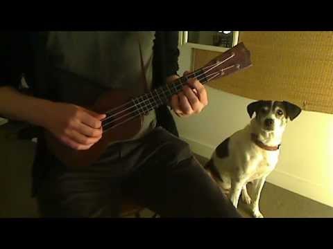 "My Buddy" Solo Ukulele and Cute Dog - YouTube