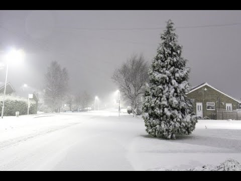 Como é a Neve no Canadá? Nevando em Alberta, Canadá 2021 - Brasileira ...