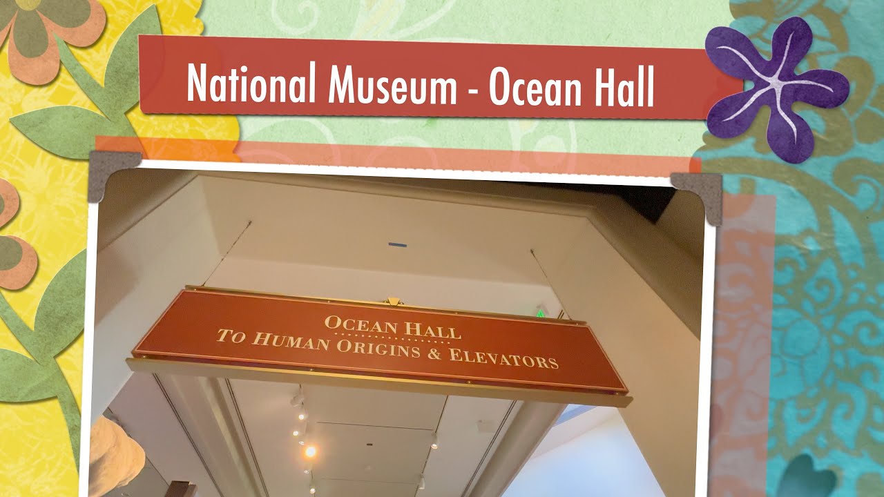 National Museum - Ocean Hall - Smithsonian - Washington DC - YouTube