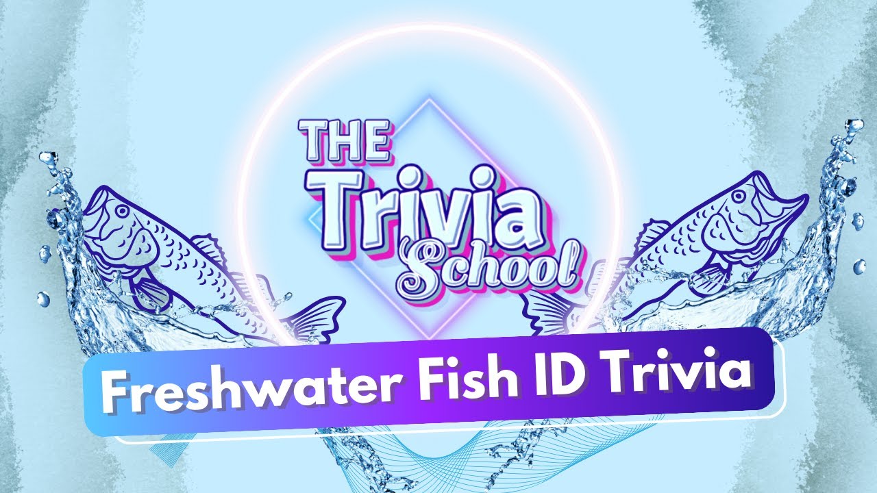Can You Name These Freshwater Fish? Freshwater Fish ID Trivia Challenge ...