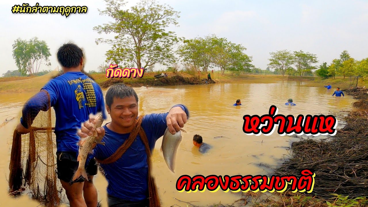 กัดดางหว่านแห คลองธรรมชาติ หมานๆ#fish @Nugla-Bankhoklao - YouTube