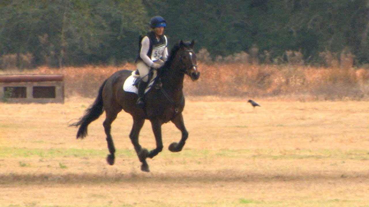 Kay Slater "Grantstown Mr. Big" Ocala Horse Trials (ON) 2/13/2022 - YouTube
