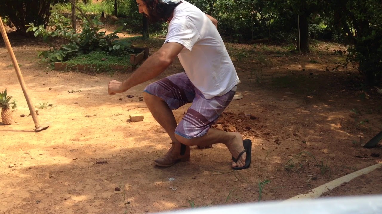 Como planta chibaca - YouTube