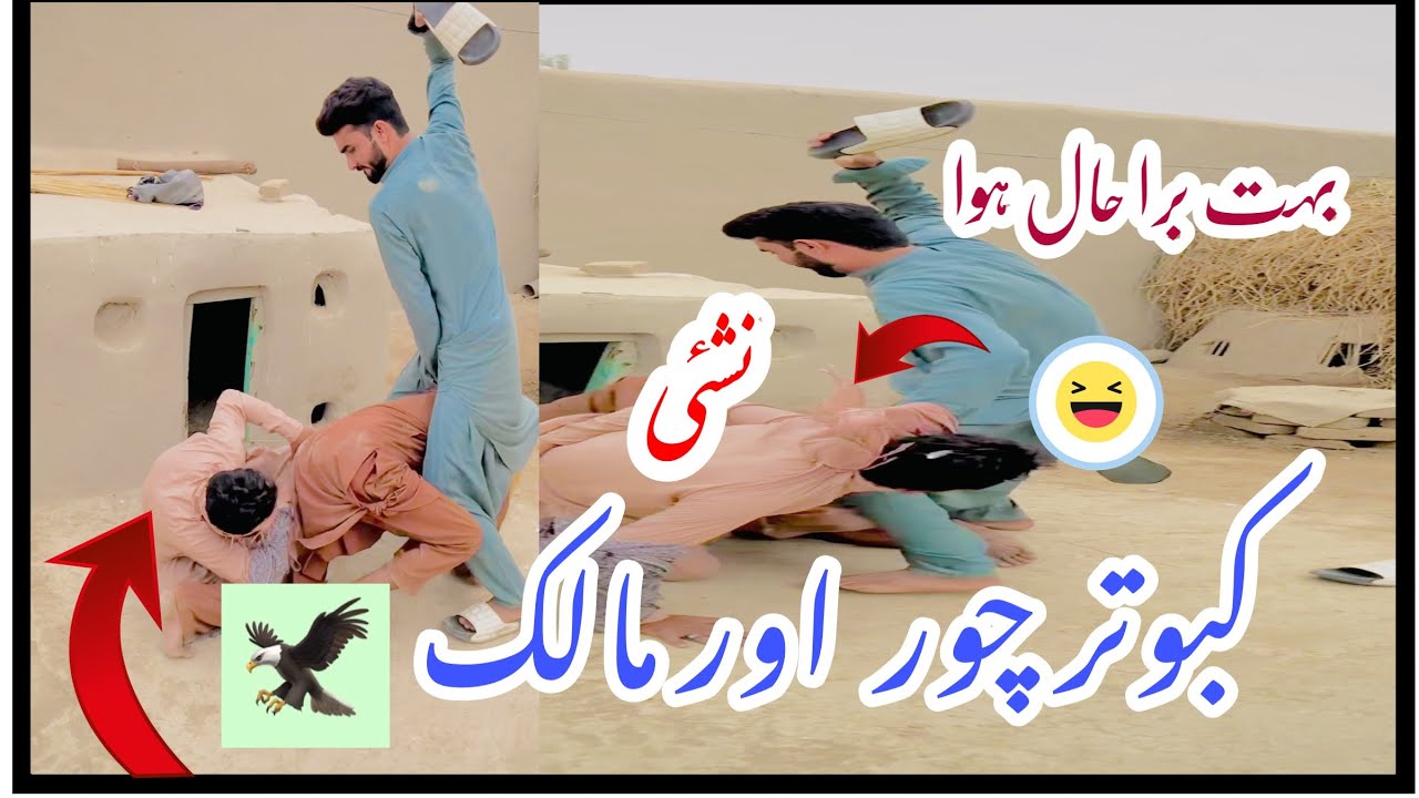 Nashai chor or malik😂😜نشئی کبوتر چور اور کبوتر مالک||#viralvideo # ...