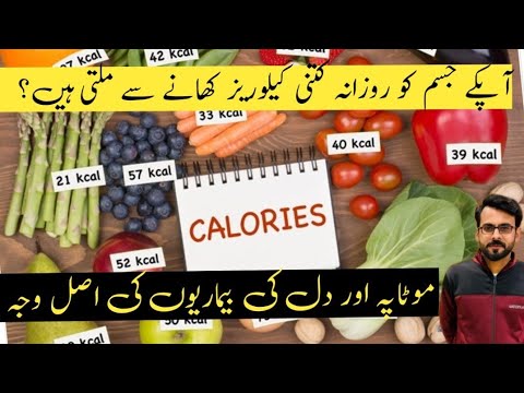 daily need of calories for human body / calories in food weight gain ...