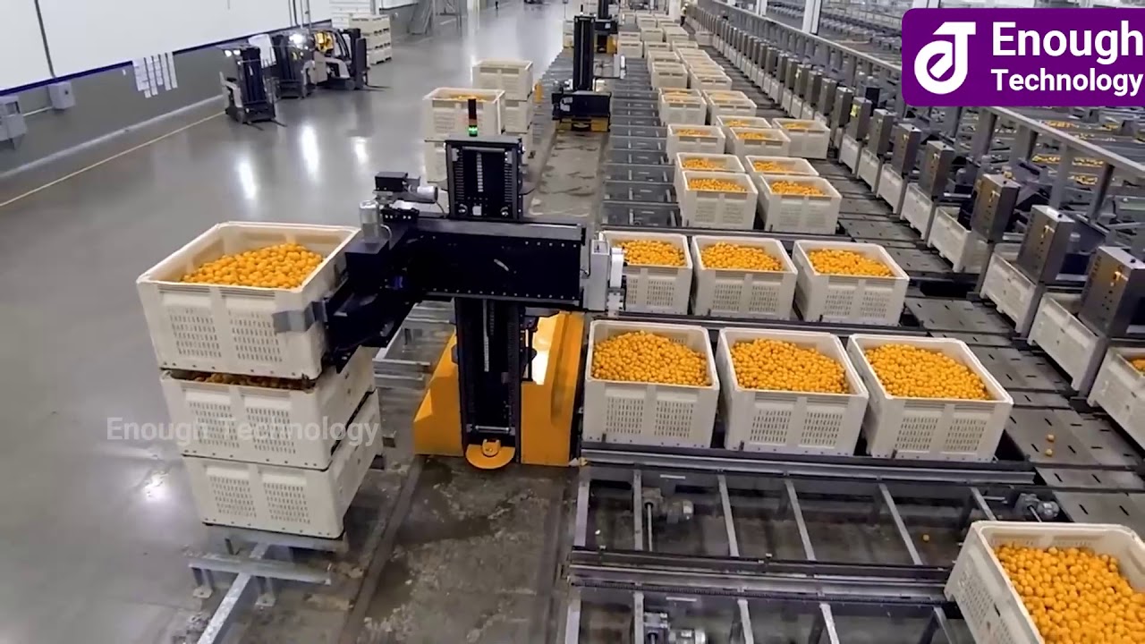 Citrus Processing Factory | Modern Citrus Processing Technology ...