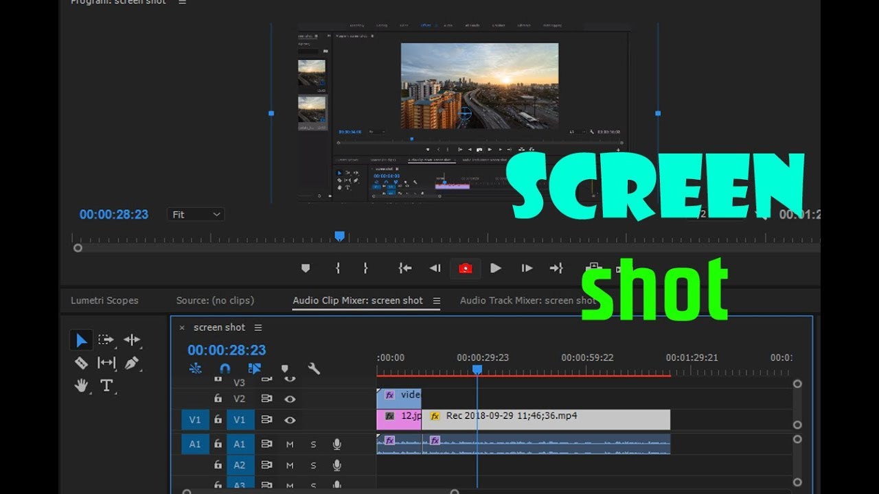 How To Take A Screen Shot In Adobe Premiere Pro Cc Snap Shot In how-to-take-a-screen-shot-in-adobe-premiere-pro-cc-snap-shot-in
