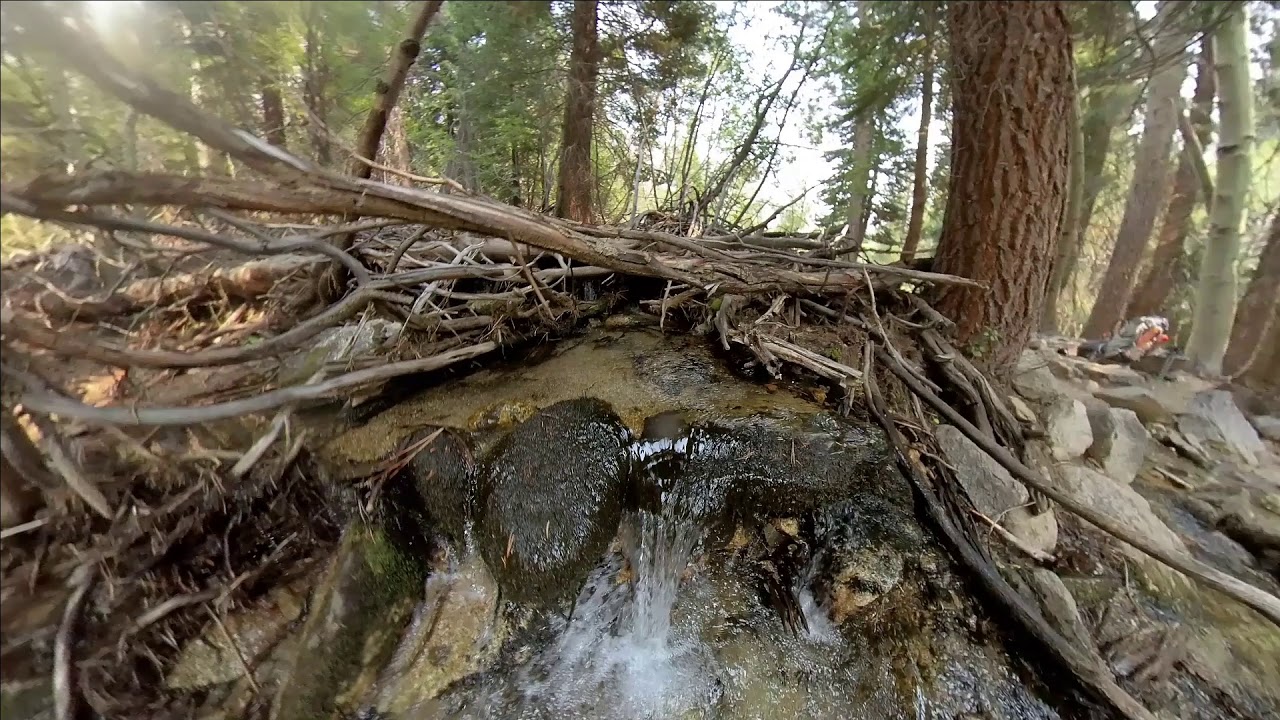 JMT 2020 - Day 9 - Muir Rock and Creek Crossings - YouTube