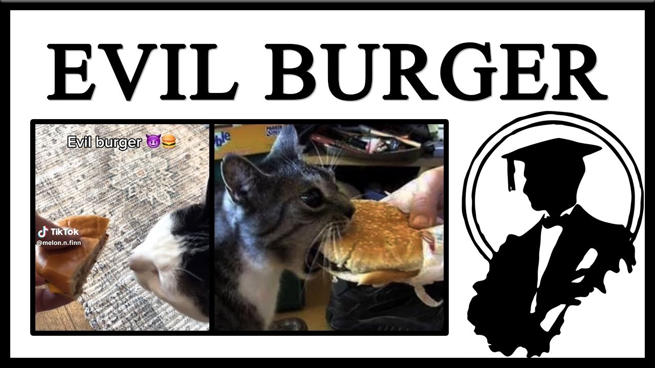 Scary Cat Stories Are Scary - YouTube