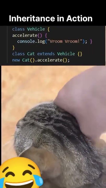 Inheritance In Action Coding Python Javascript Shortsfeed Programming Css Memes Shorts