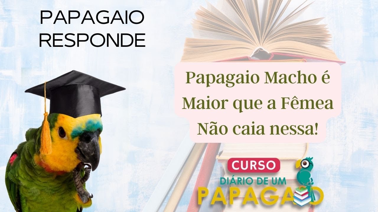Papagaio Macho é Maior que a Fêmea - NÃO CAIA NESSA - YouTube