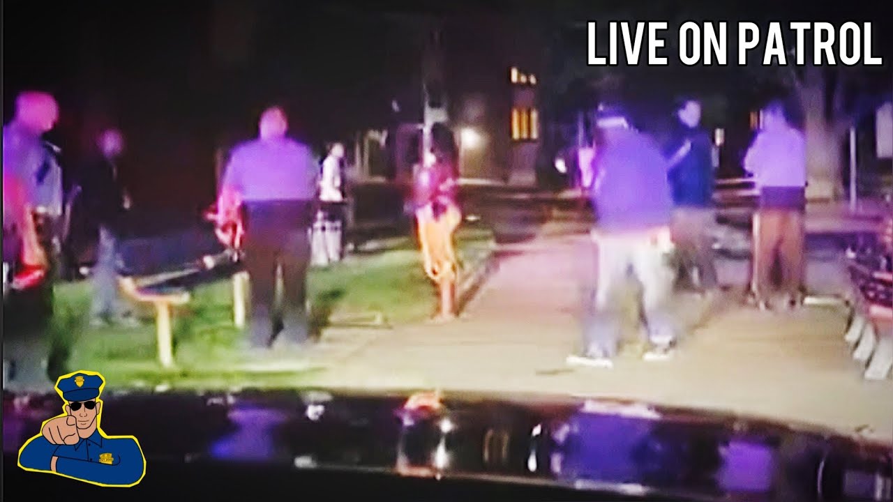 Sheriff Stops Barbecue Brawl | Live on Patrol - YouTube