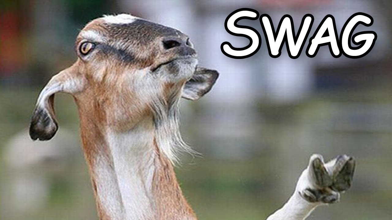 DOCTOR GOAT (Goat Simulator Funny Clips/Montage) - YouTube