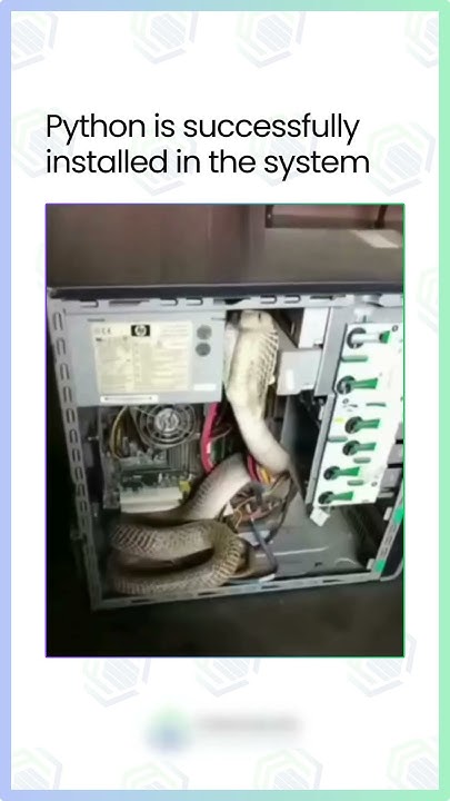 Python is successfully installed in the system. 🐍💻#Python #Cobra #Snake ...
