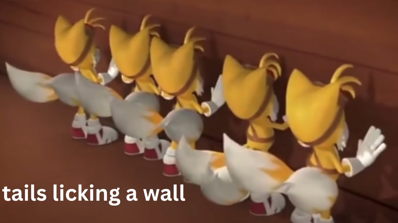 tails licking a wall(out of context) - YouTube