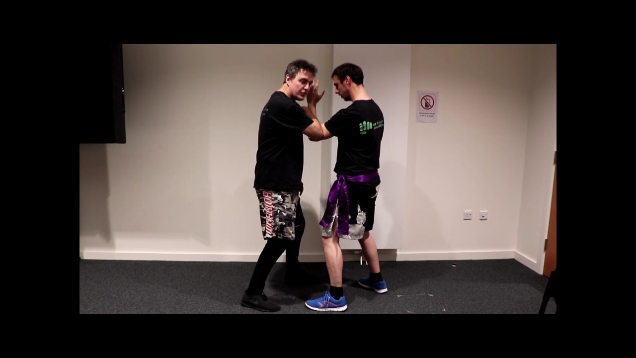 Wing Chun - Chum Kiu Hoop and Rotation Principles - YouTube