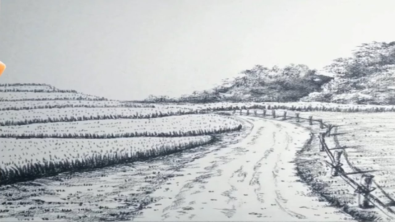 How To Draw Field View Using Only One Pencil - YouTube