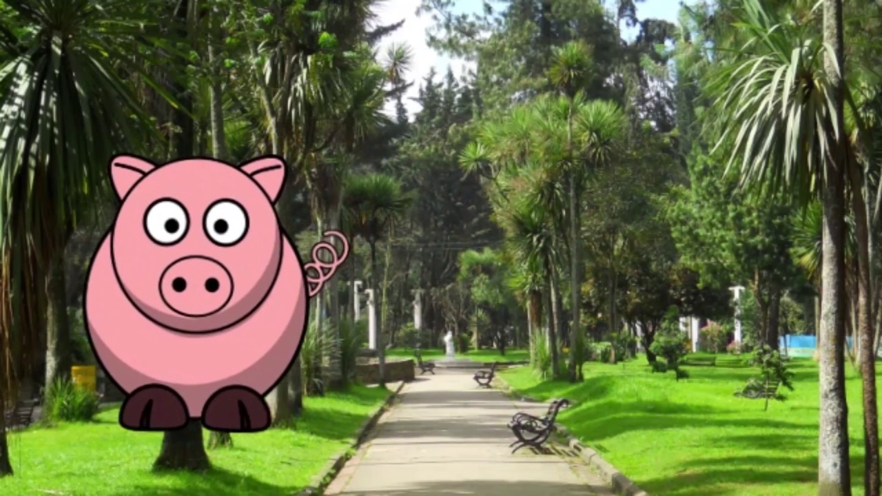 VÍDEO CLIP EL MARRANITO - YouTube