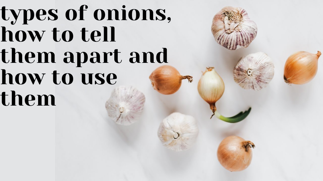 types of onions, how they look like and how to tell them apart - YouTube