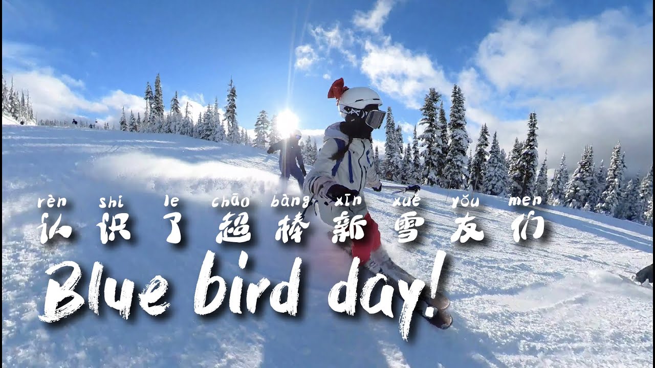 No talking! Just enjoy blue bird day｜Got new friends｜Lost in Harmony ...