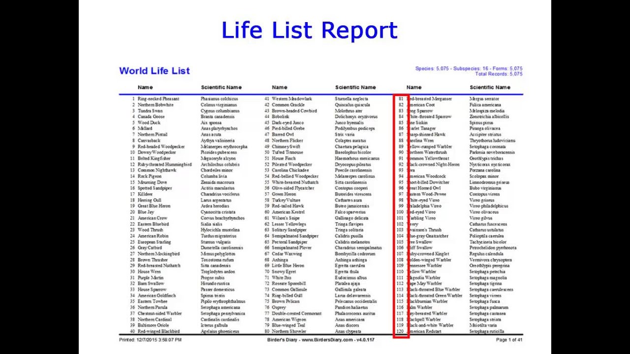 Birder's Diary Main Feature Details - YouTube