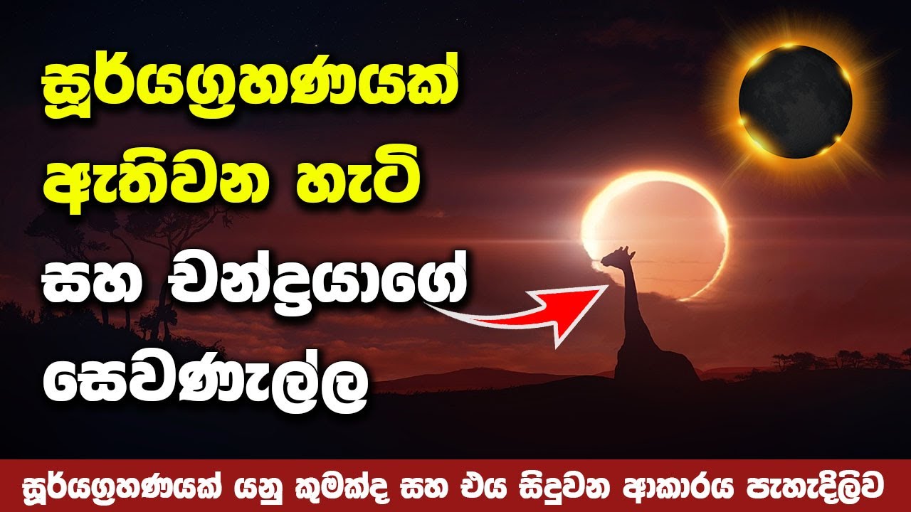 What is the Solar Eclipse?|Types of Solar eclipse Sinhala ...