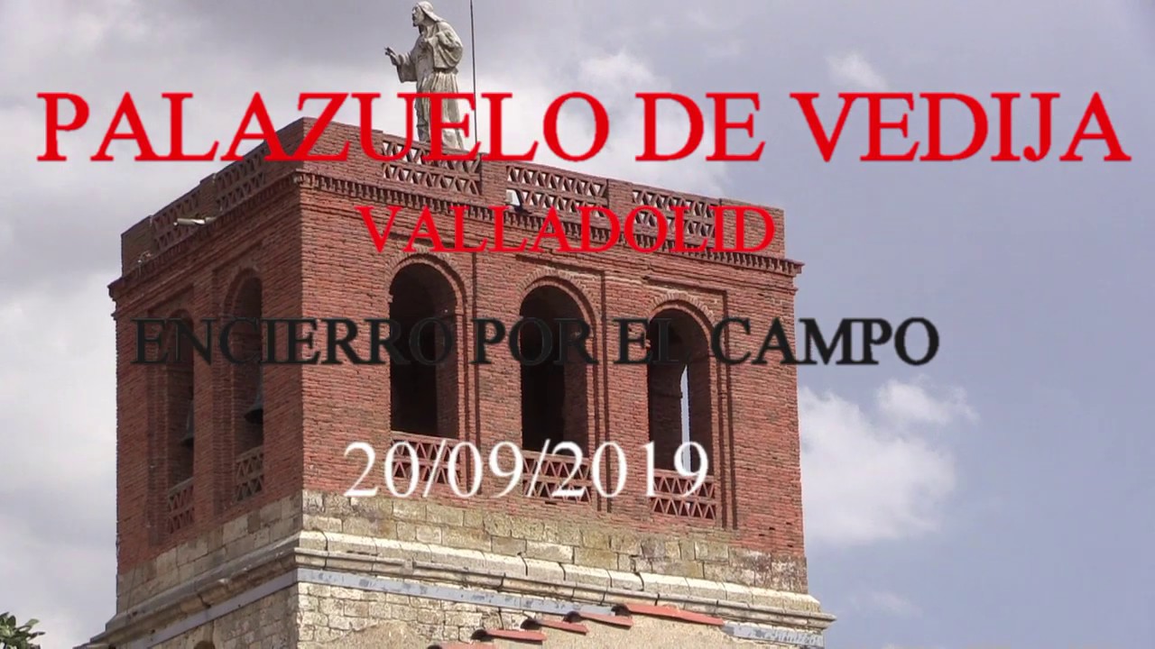 PALAZUELO DE VEDIJA(VA): ENCIERRO POR EL CAMPO..20/09/2019 - YouTube