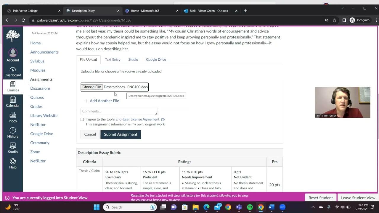 How to turn in Your Essay Assignment on CANVAS - YouTube