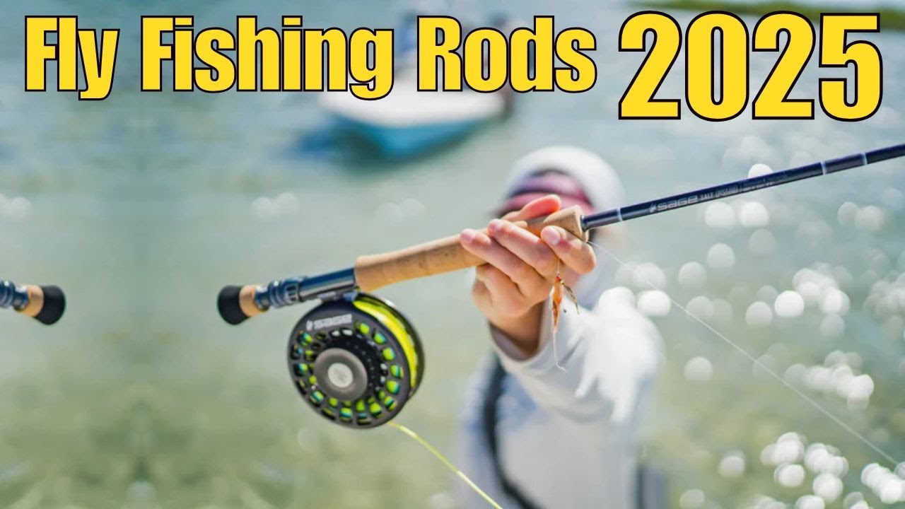 Fly Fishing Rods: Best Fly Fishing Rod for Every Budget in 2025! - YouTube