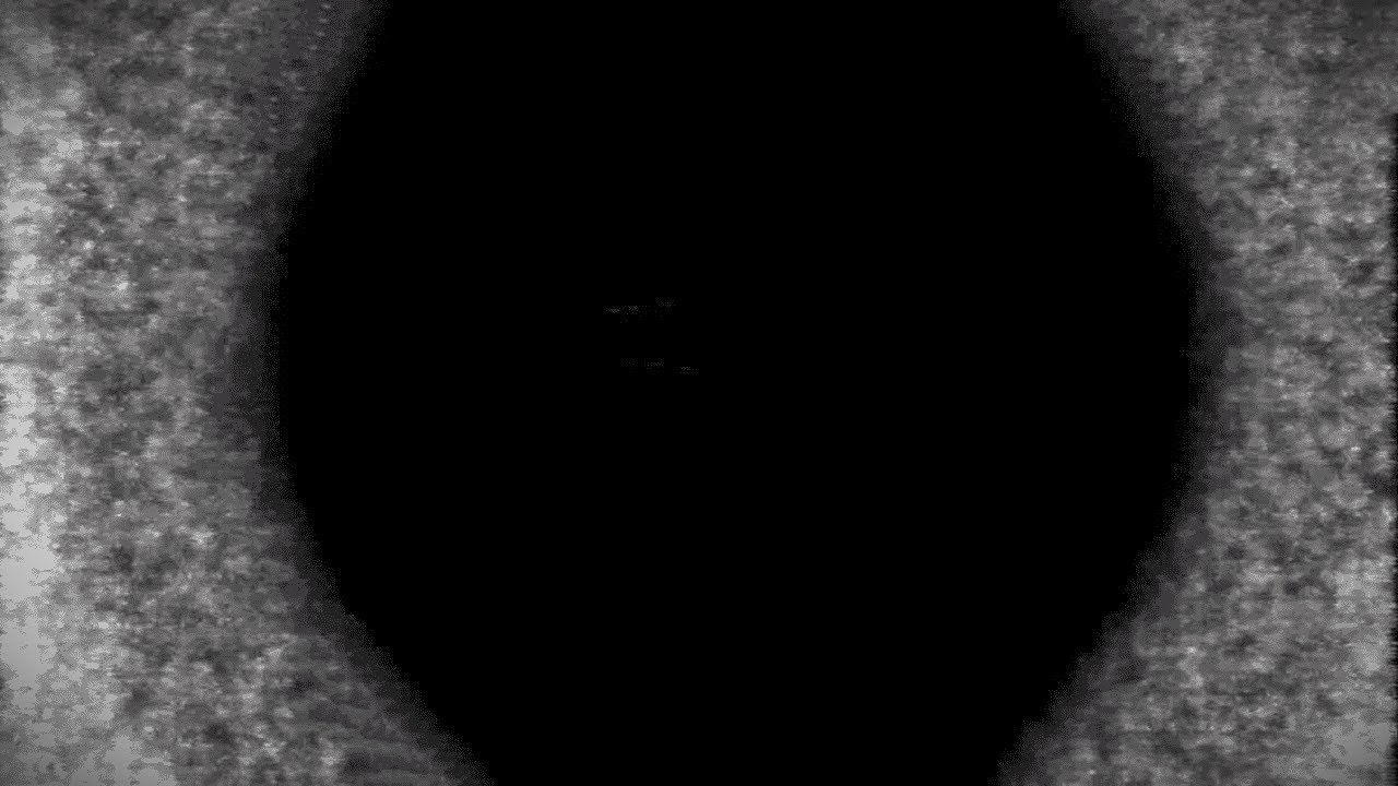 Friday night funkin undaunted demise expungifed remix charted updated ...