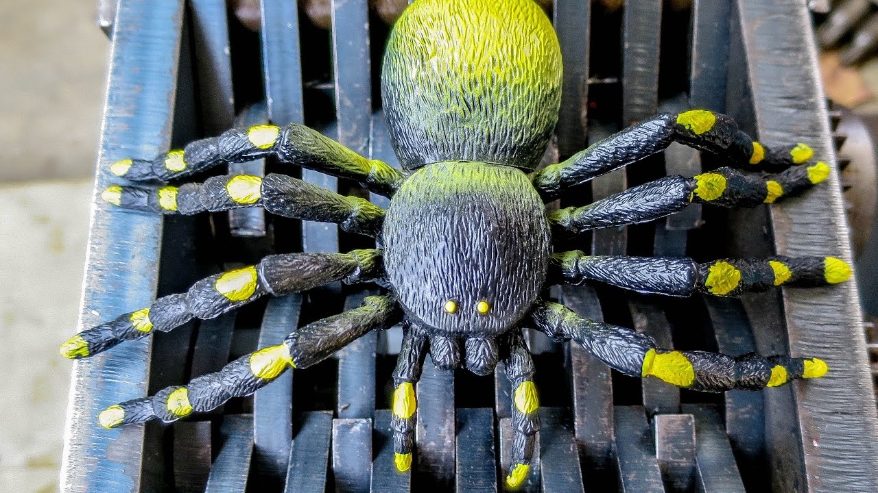GIANT BUGS SHREDDED!! GROSS! - YouTube