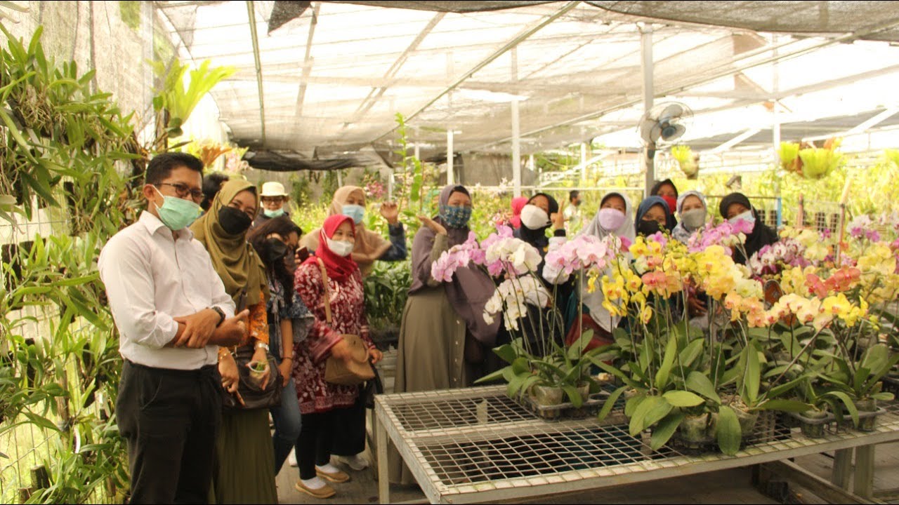 Tips Sukses Bisnis Anggrek untuk Petani Milenial : Yang Penting Berani ...