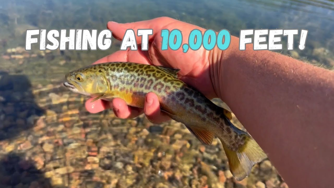 Fishing at Brian Head, UT - YouTube