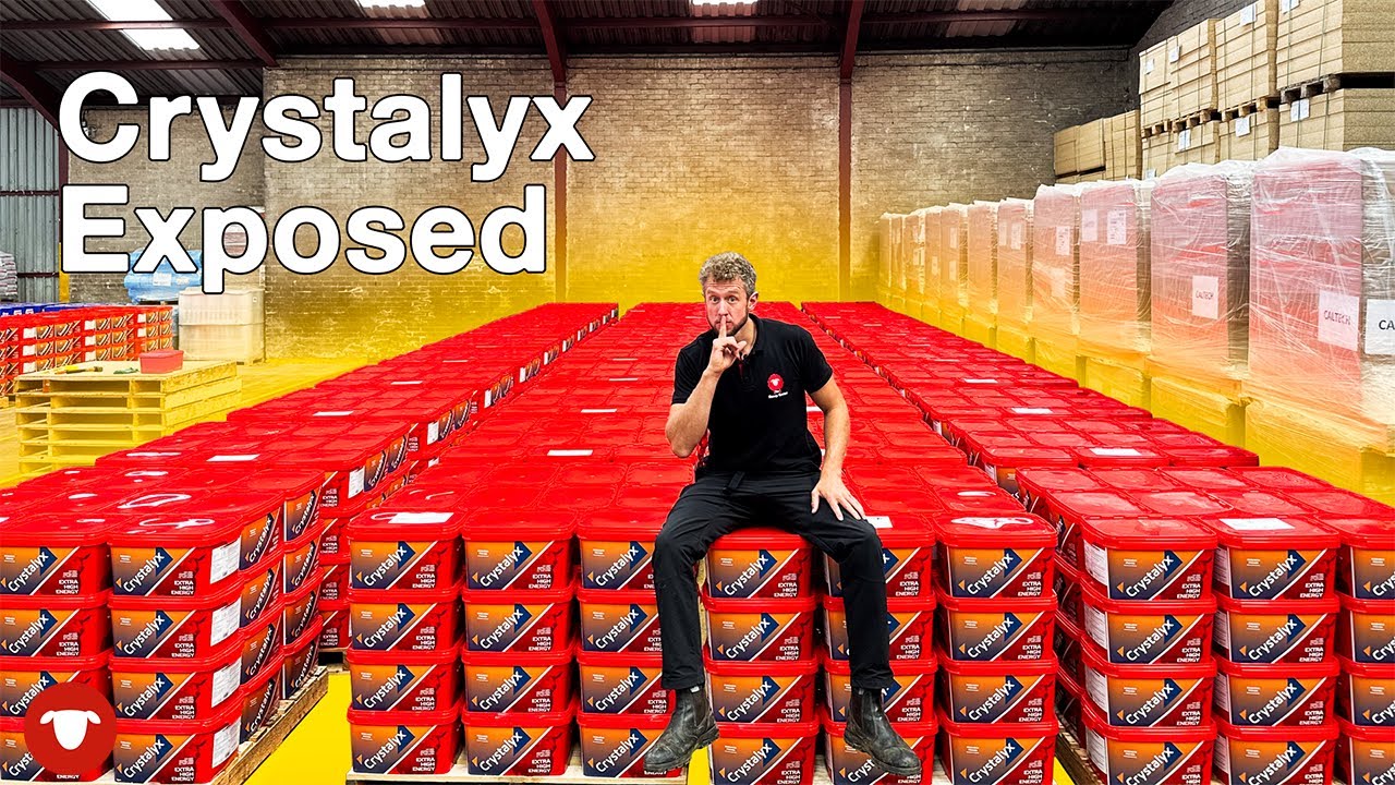 TOP SECRET: This is how they make Crystalyx! - YouTube