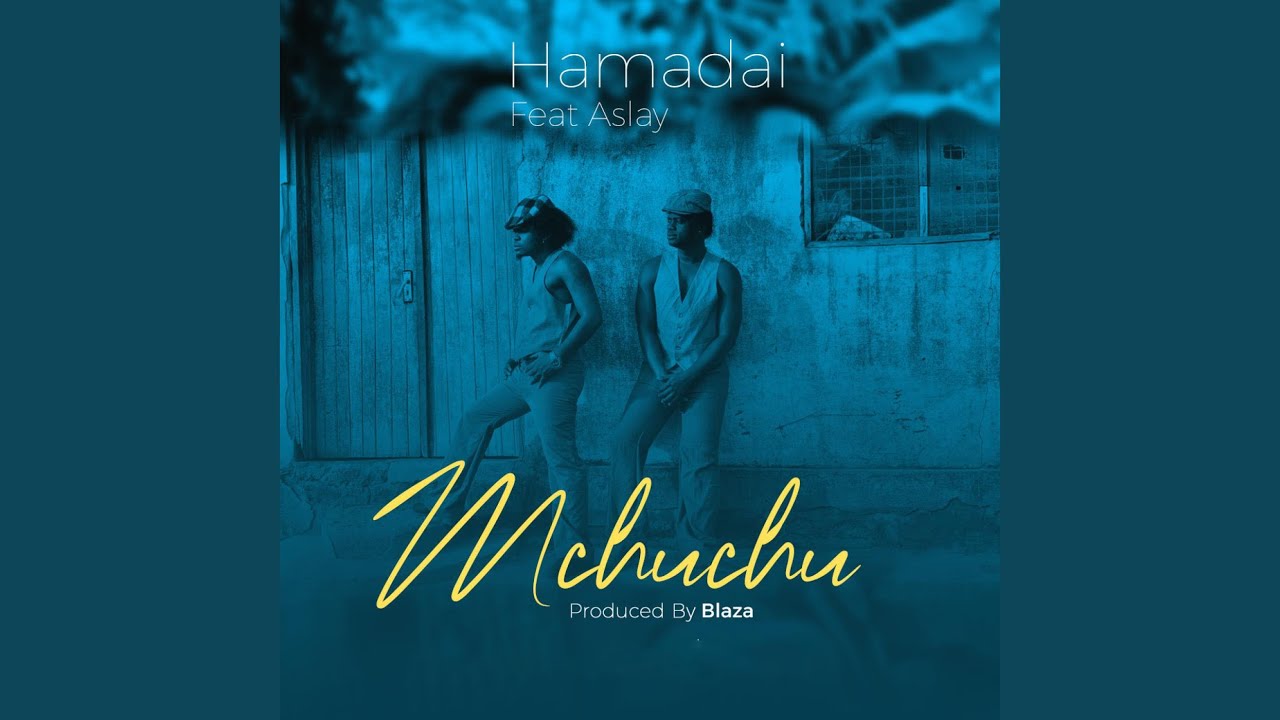 Mchuchu (feat. Aslay) - YouTube