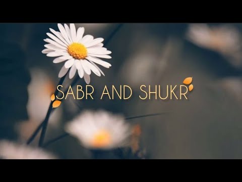 Sabr And Shukr || Mufti Menk Whatsapp Status ||