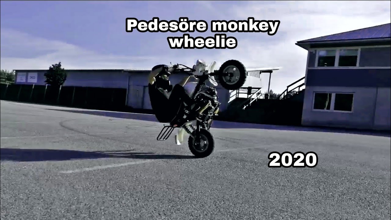 Monkey wheelie pedesöre - YouTube