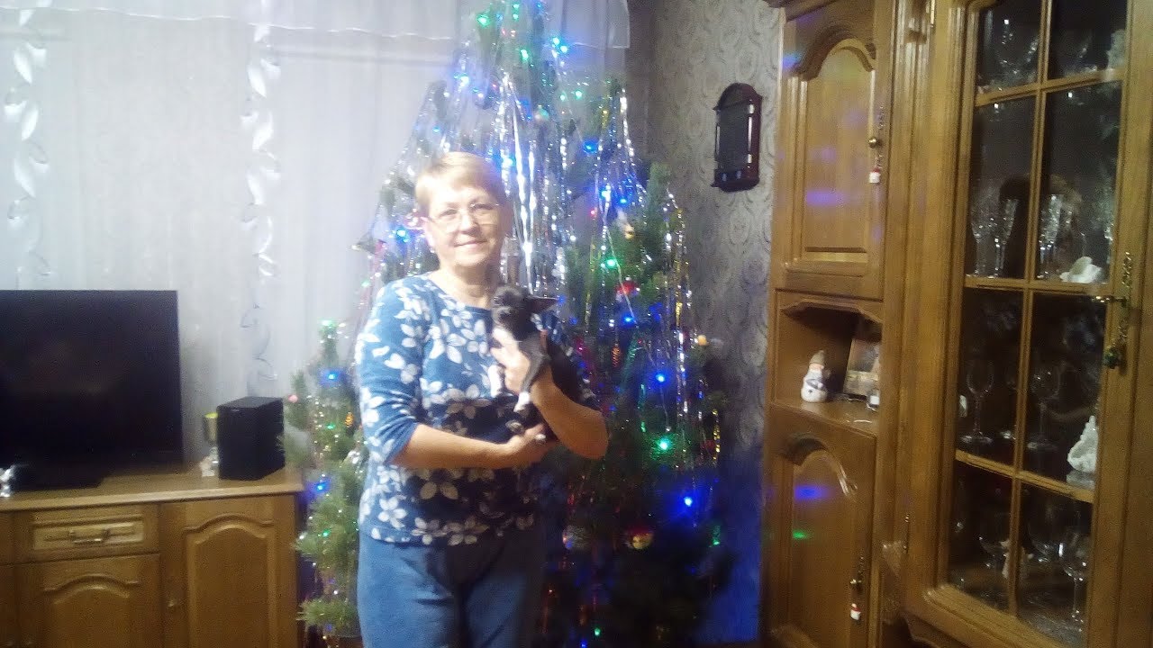 ИНТЕРНЕТ МАГАЗИН " ВАСИЛЕК ". ЯНВАРЬ 2019. ОБЗОР ТОВАРОВ С ПРИМЕРКОЙ ...
