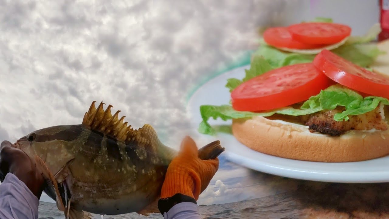 NASSAU GROUPER CATCH AND COOK. BURGER STYLE. GIANT LOBSTER AND MORE ...