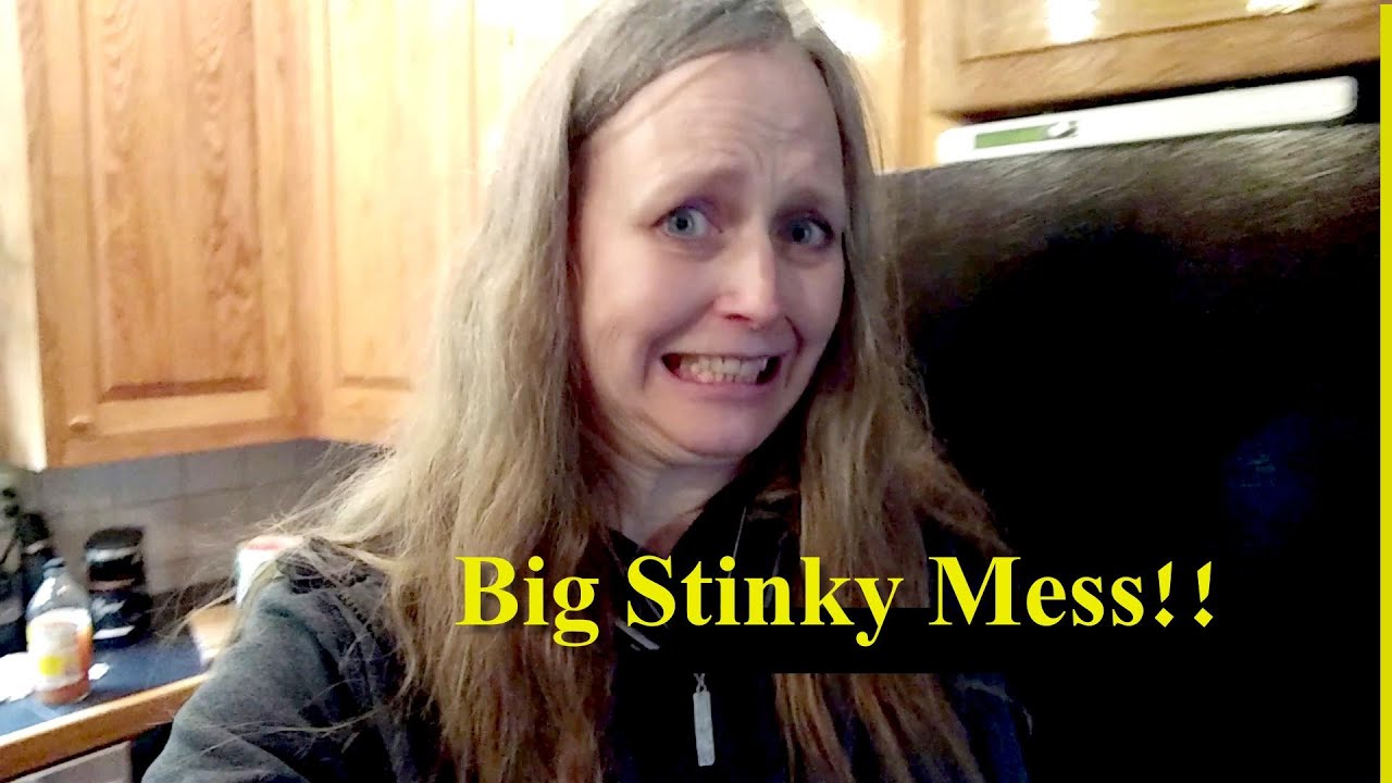 We got ourselves into a STINKY situation - YouTube