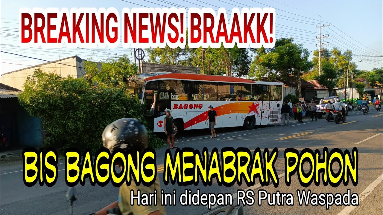 BREAKING NEWS! BRAAKK! Bis BAGONG menabrak pohon hari ini! - YouTube