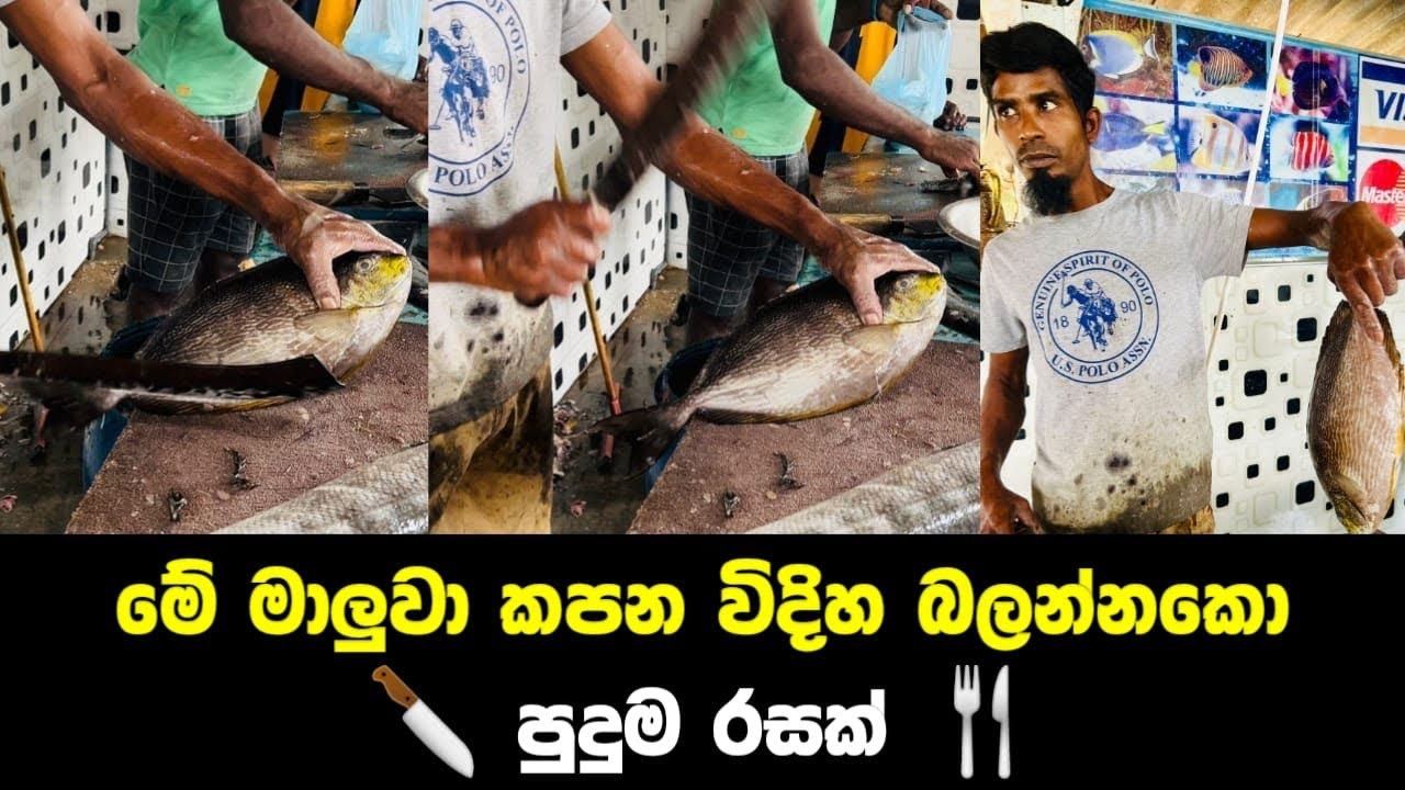 Orawa fish cutting / fish cutting skills srilanka 🐠🐠 🇱🇰🇱🇰 #Travel ...