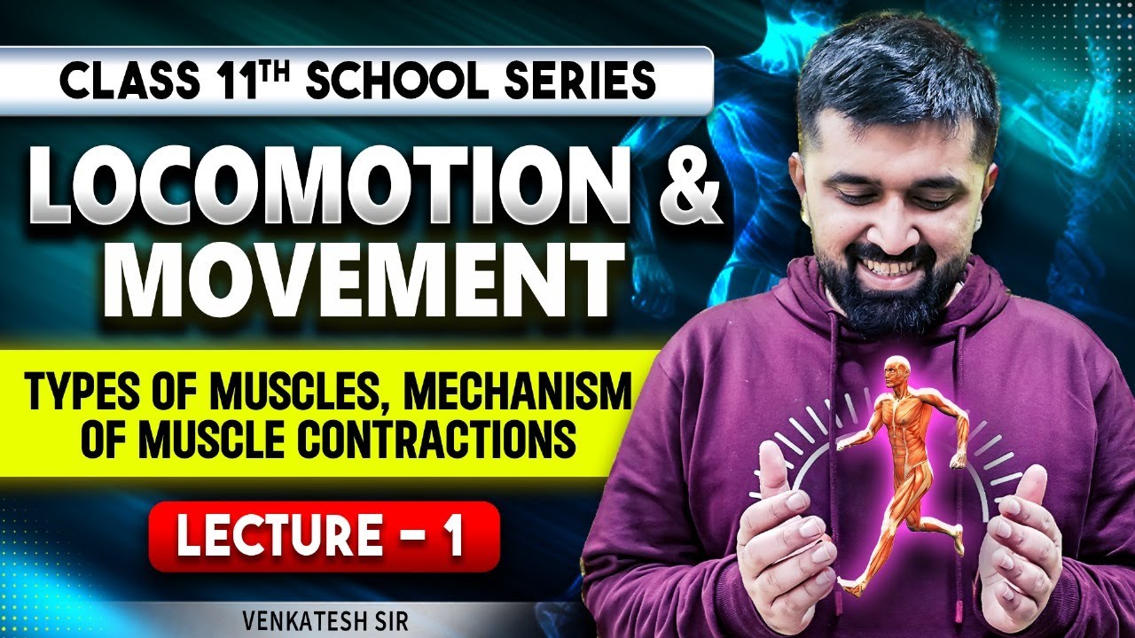 LOCOMOTION AND MOVEMENT | TYPES OF MUSCLES, MECHANISM OF MUSCLES ...