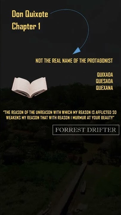 Don Quixote Chapter 1 Summary #Shorts - YouTube